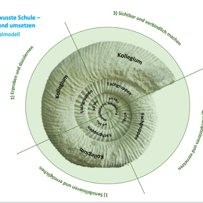 Spiralmodell — Willkommen beim Basler Bildungsserver eduBS